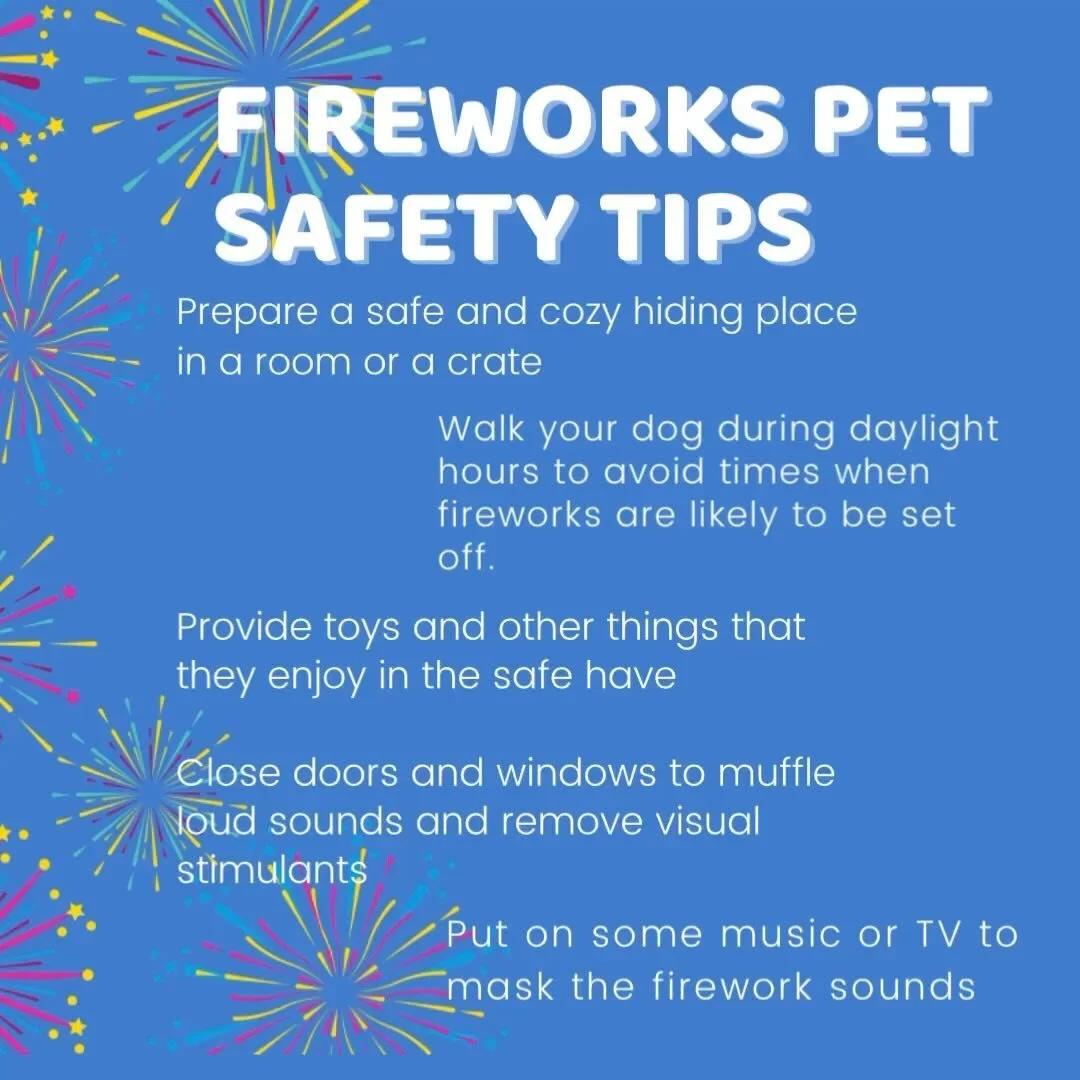 Pet Pavilion - London