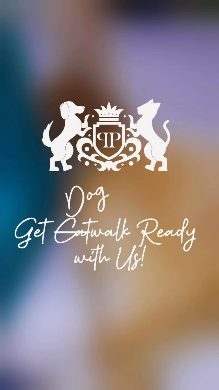 Pet Pavilion - London