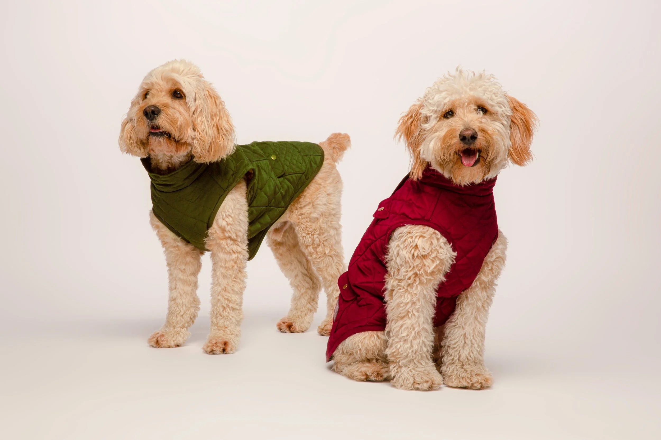 Pet Pavilion - London