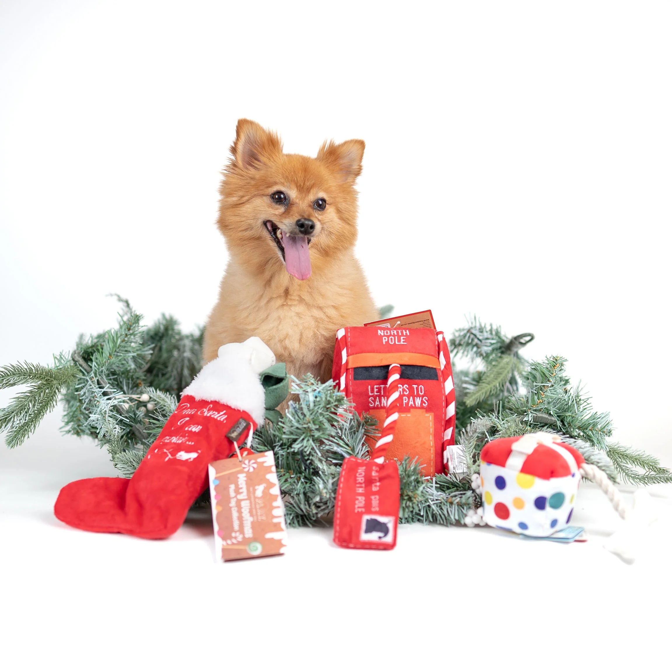 Pet Pavilion - London