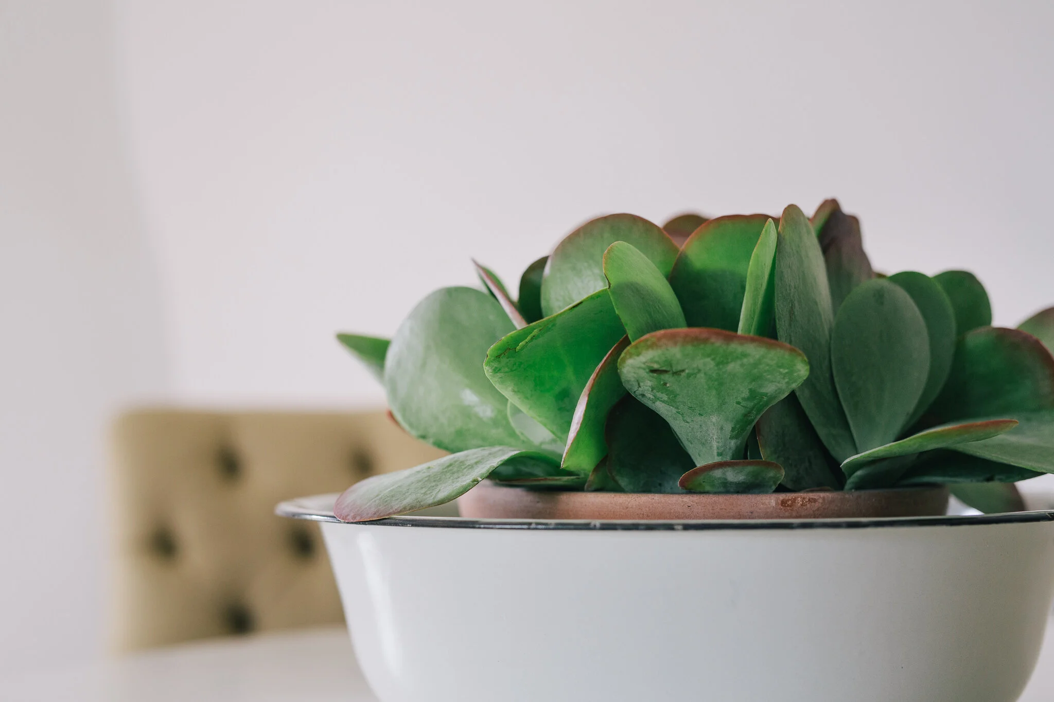 Joanna Goodchild Interior Design – Portfolio