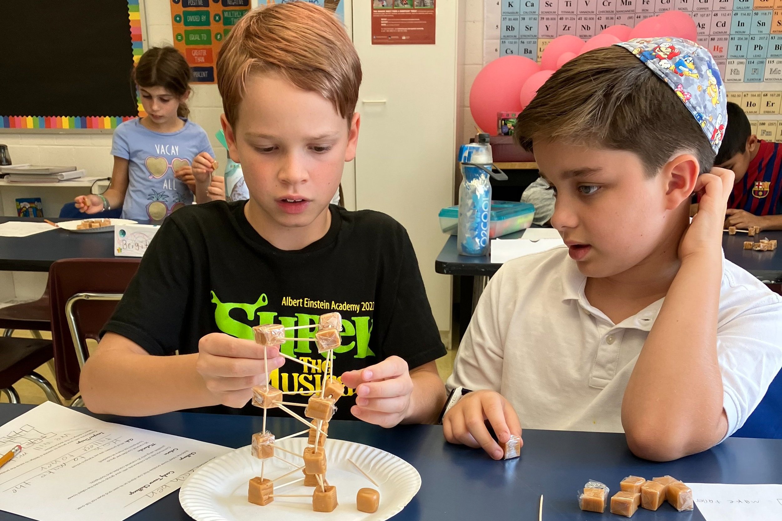 Albert Einstein Academy