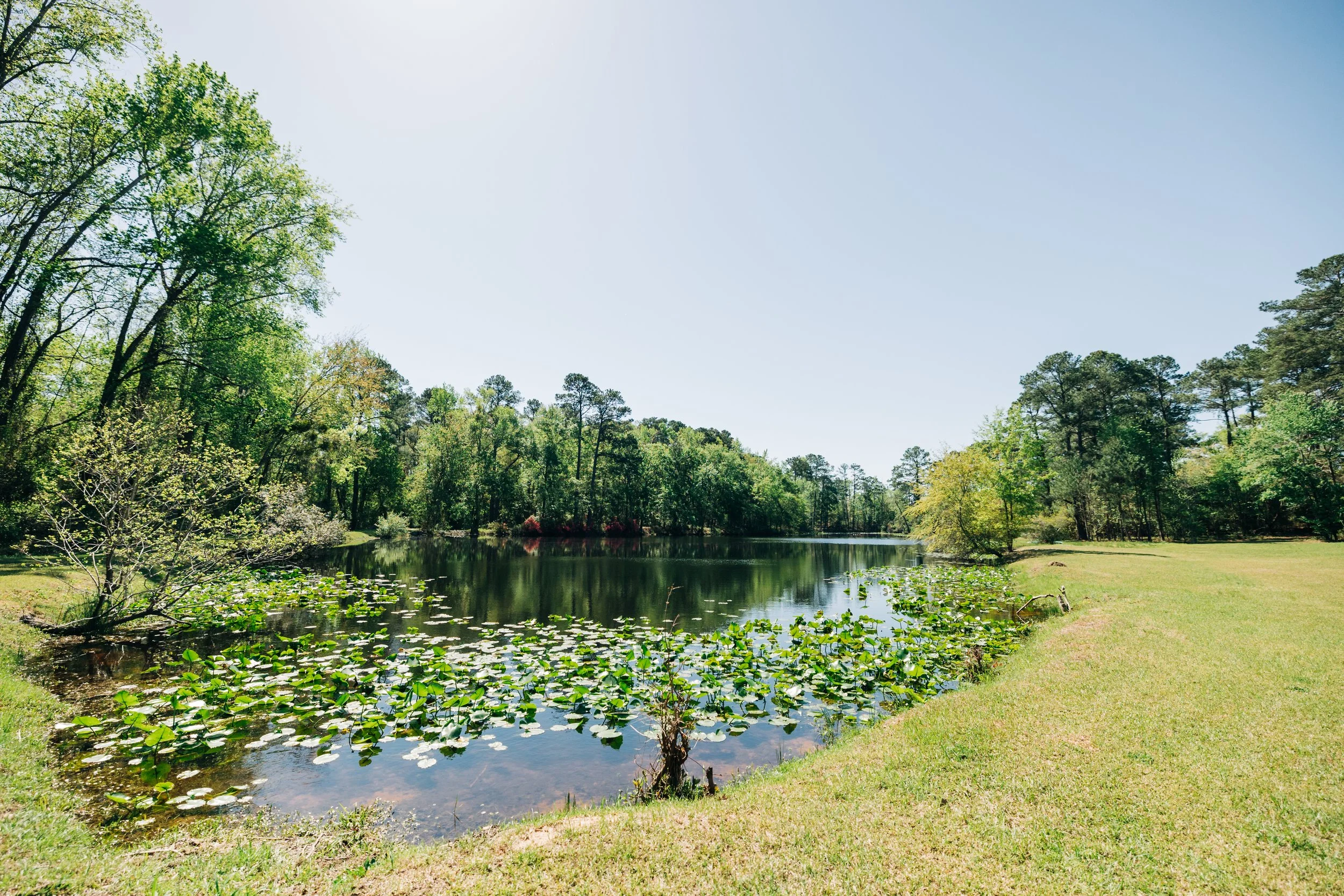 Greystone Properties