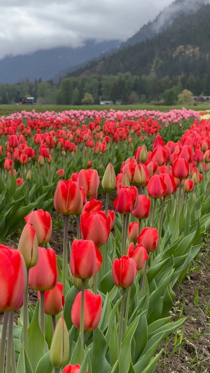 The Beer Farmers | Pemberton Farm Brewery