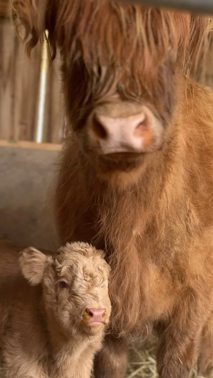 The Beer Farmers | Pemberton Farm Brewery