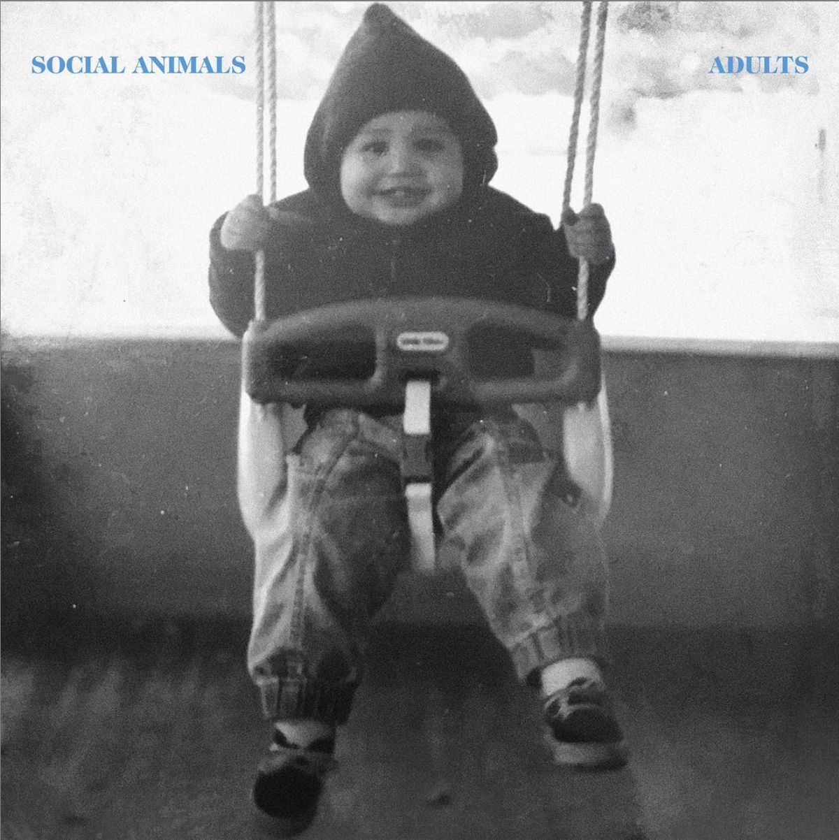 Social Animals dropping new track, "Adults", tonight at midnight ...