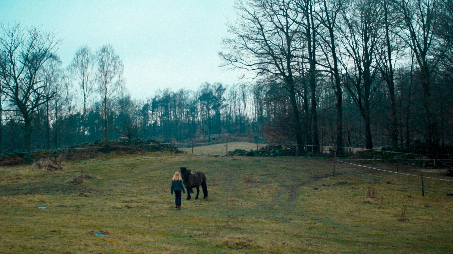 Congratulations Jenifer Malmqvist Wg Film