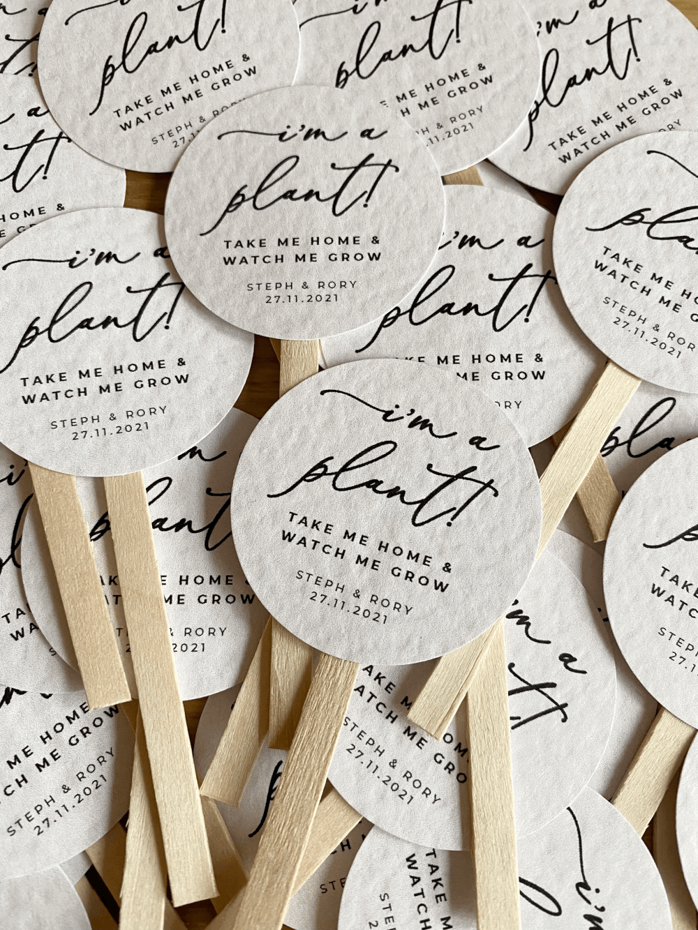 How to: Mini Pot Plant Wedding Favours for Your Guests — Lucy March Studio