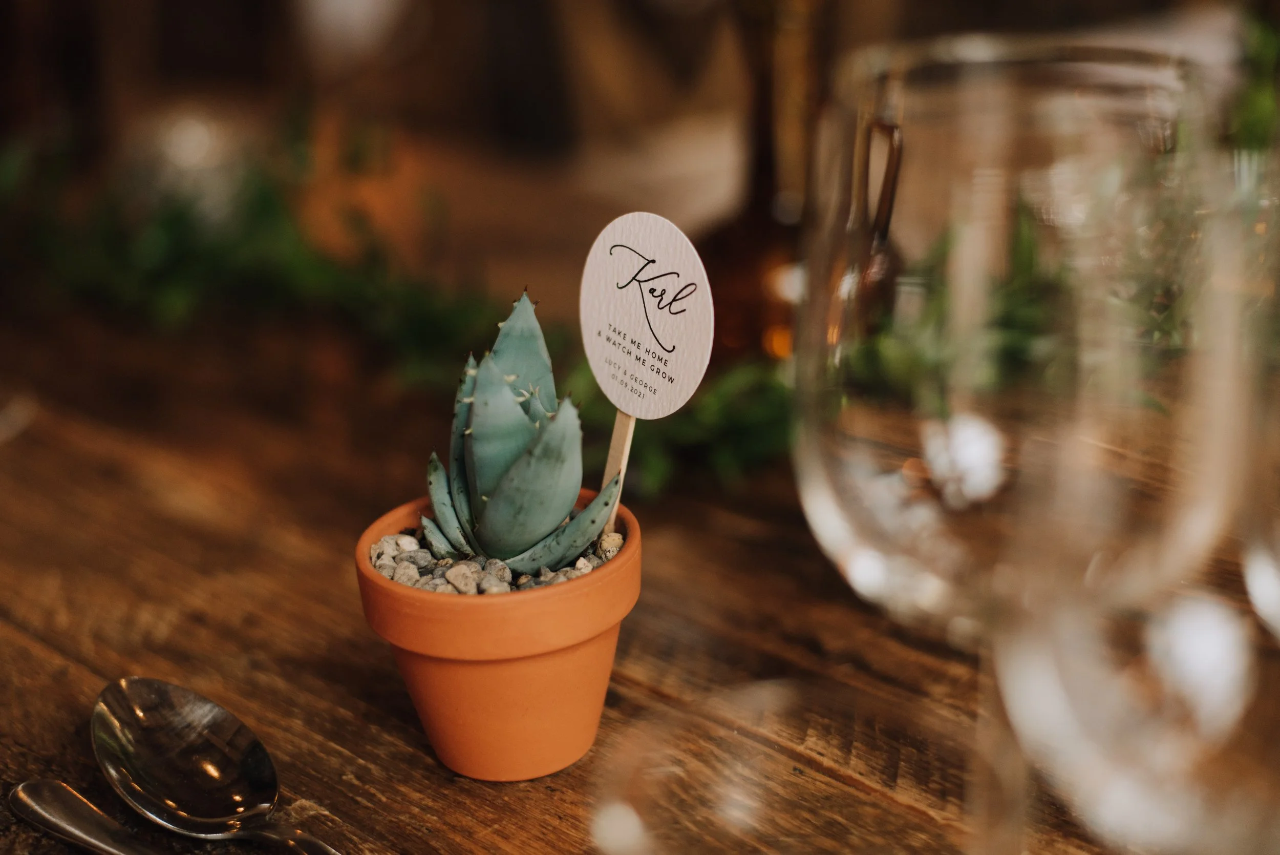 How to: Mini Pot Plant Wedding Favours for Your Guests — Lucy March Studio