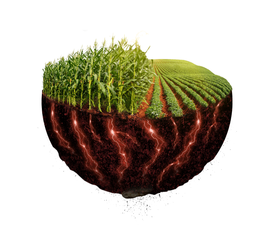 NUTRICHARGE PHOSPHORUS — AgroTech Nutrient Technology