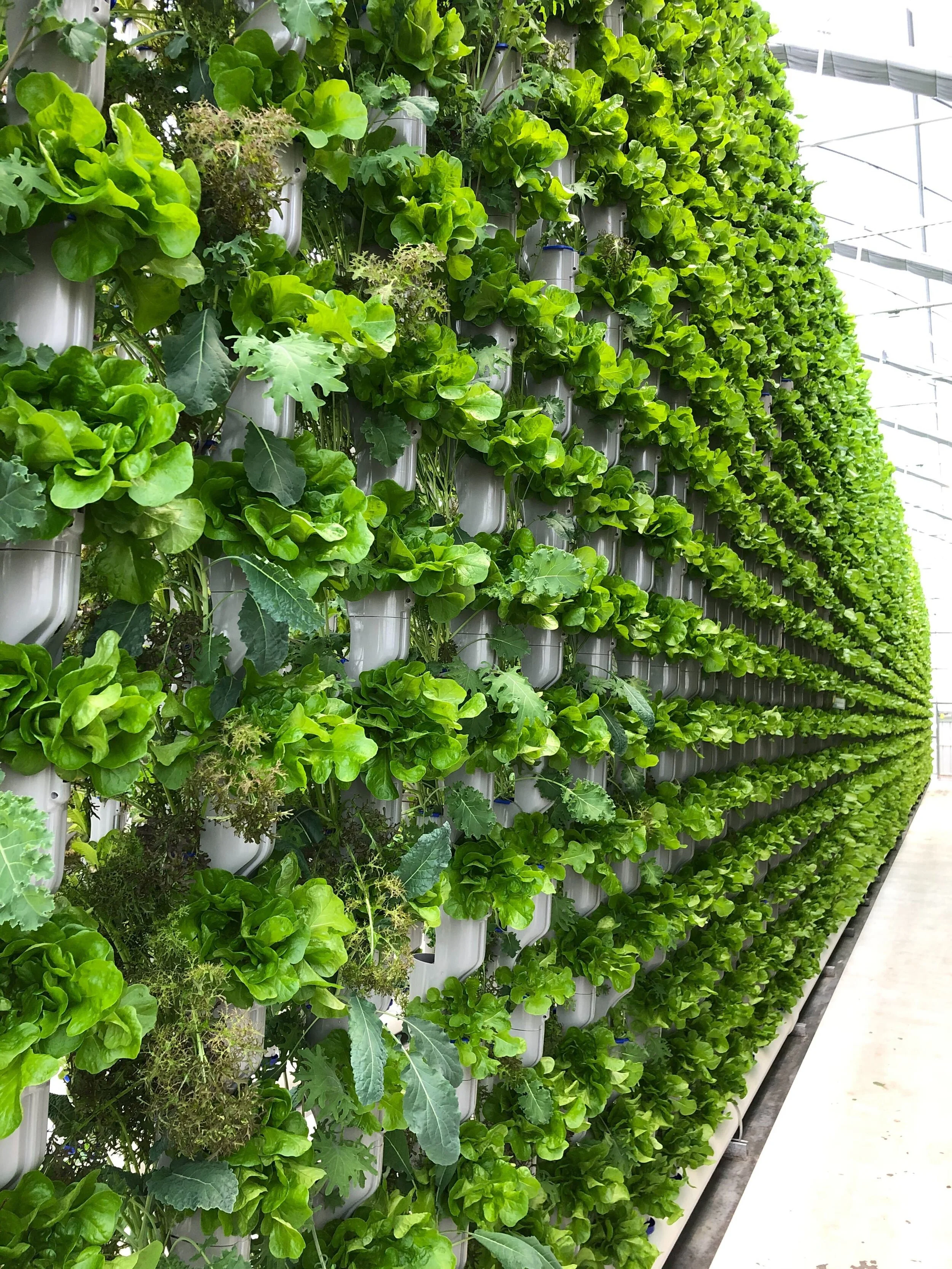 Eden Green Technology | Vertical Hydroponic Greenhouses