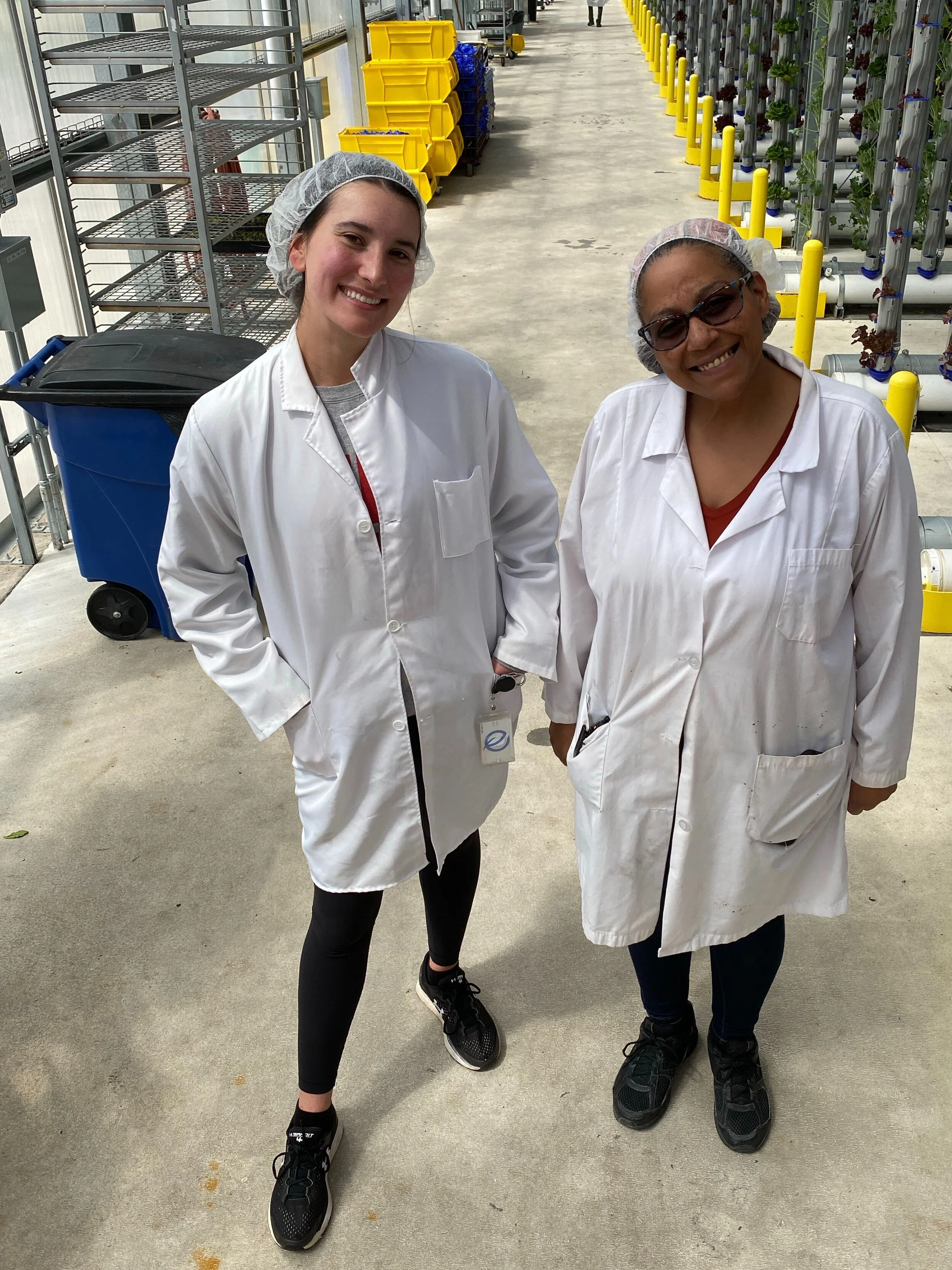 How Hydroponics Is Revolutionizing Farming Jobs in the Agriculture ...