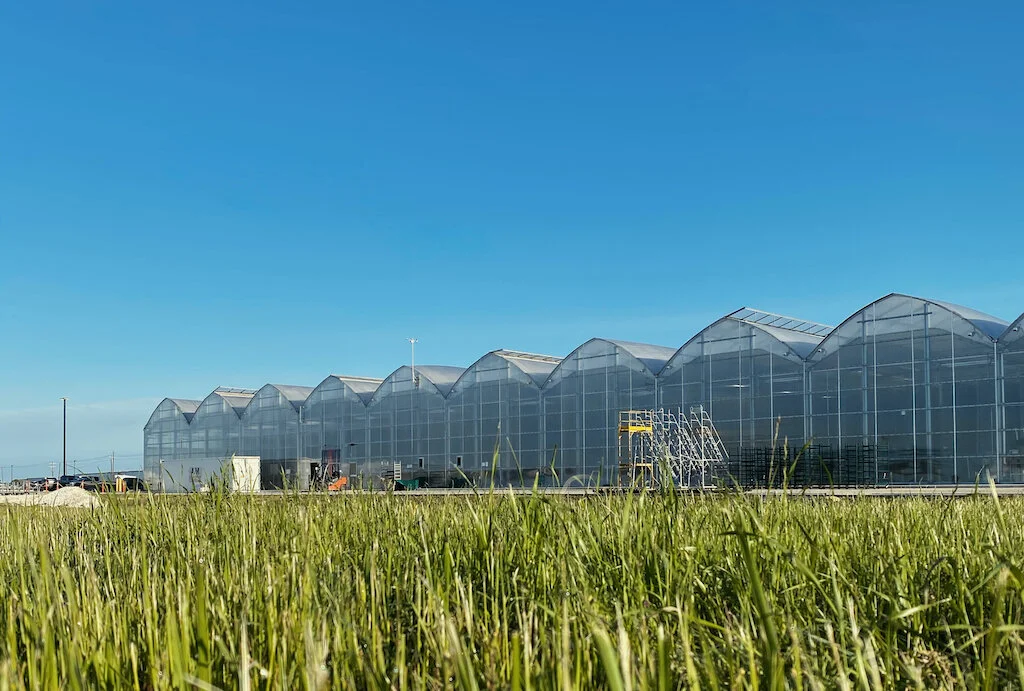 Vertical Farming & Hydroponics Greenhouses | Eden Green Technology