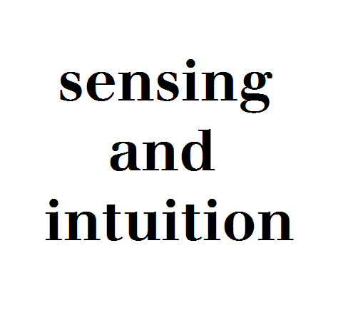 Sensing Vs Intuition