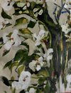 Shop Original Art — KATIE SMALL