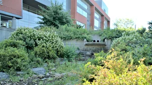 Eastern Kentucky University Science Building — element design