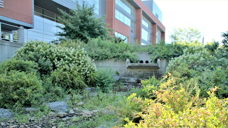 Eastern Kentucky University Science Building — element design