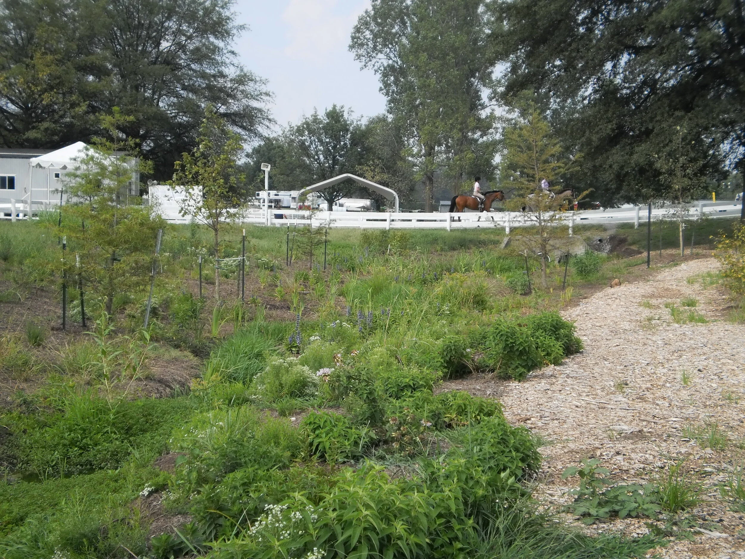 Kentucky Horse Park Cane Run Watershed Masterplan — element design