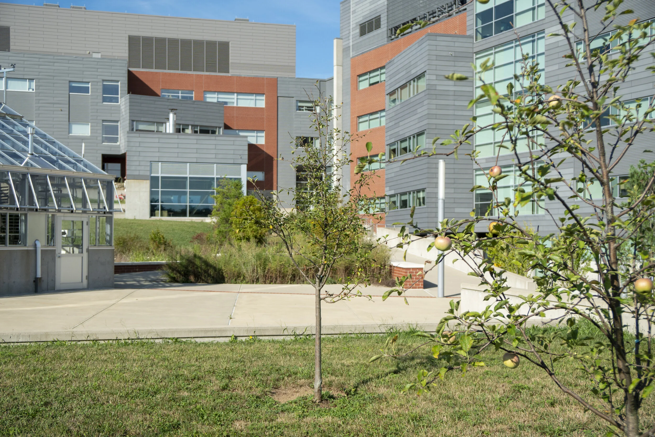 Eastern Kentucky University Science Building — element design