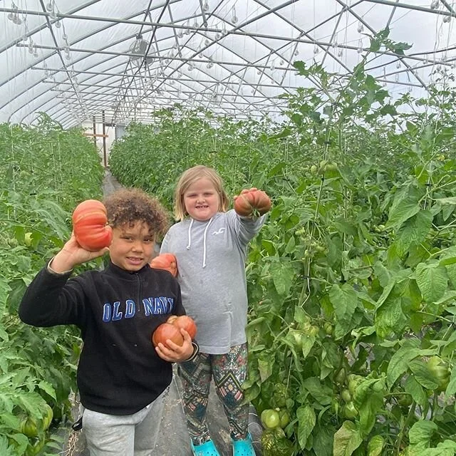 About Our Farm — Garners Farm and Market