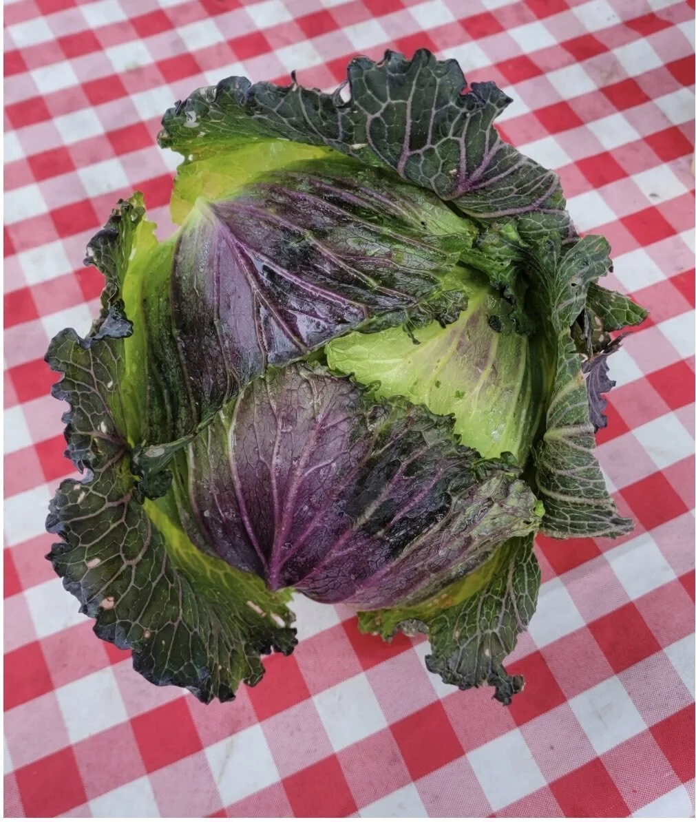 Garners Farm and Market