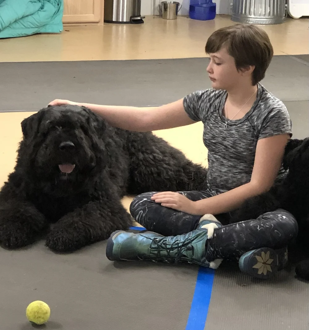 What You Will Learn — Just Dogs Academy