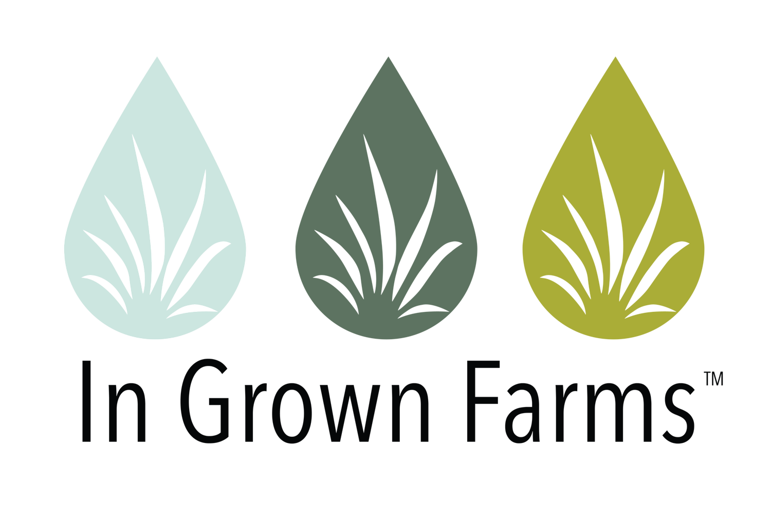 In Grown Farms - Cannabis Cultivation