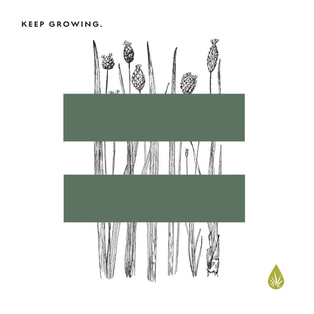 In Grown Farms - Cannabis Cultivation