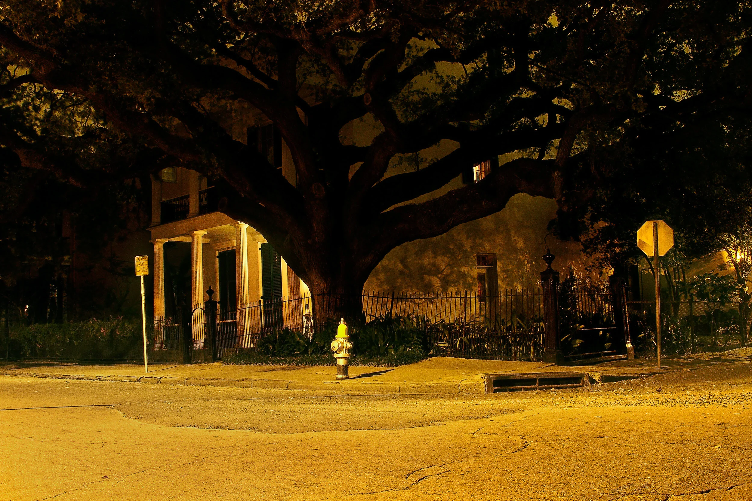 Nightscapes — Frank Relle