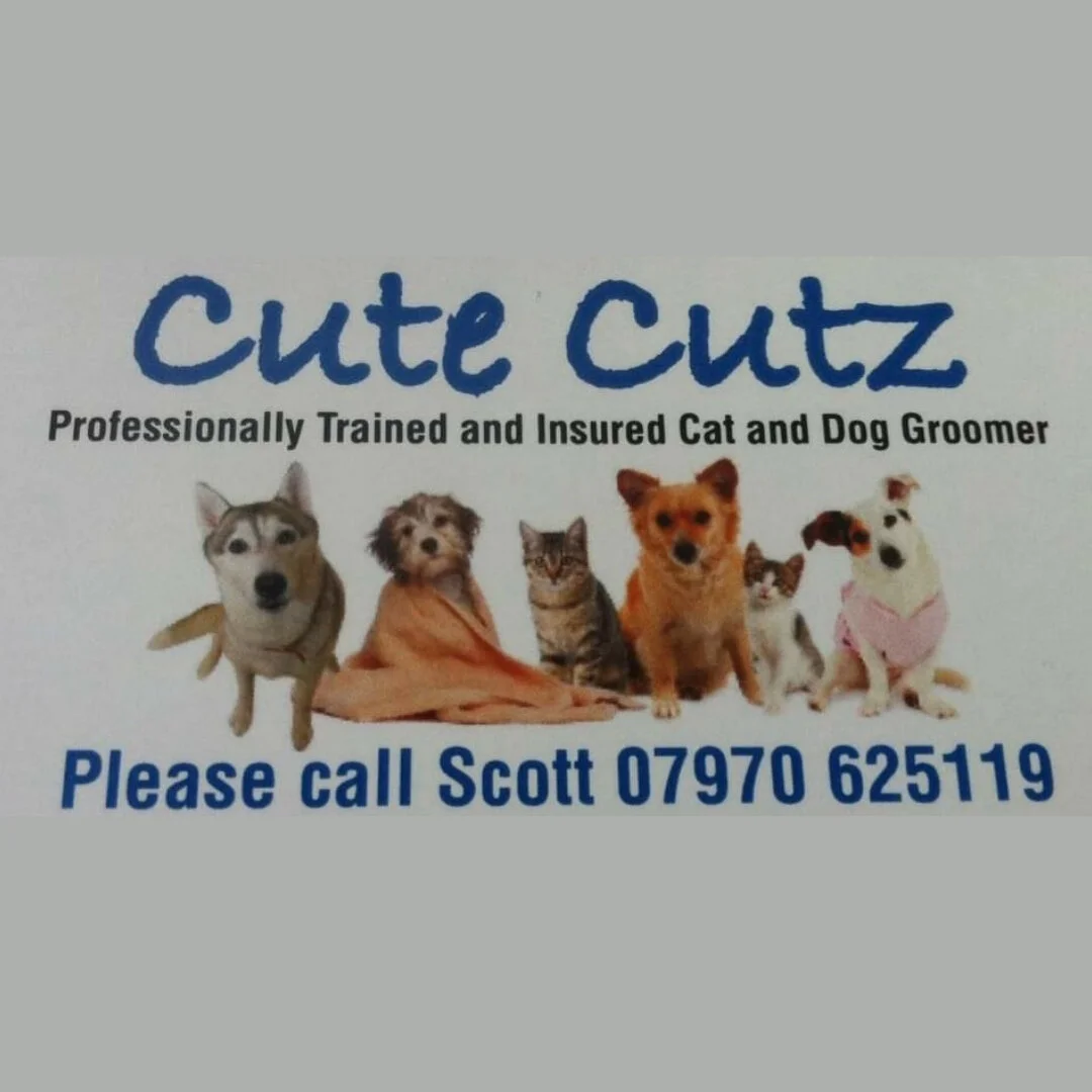 Local Business Directory — Gary Lintorn Estate Agents