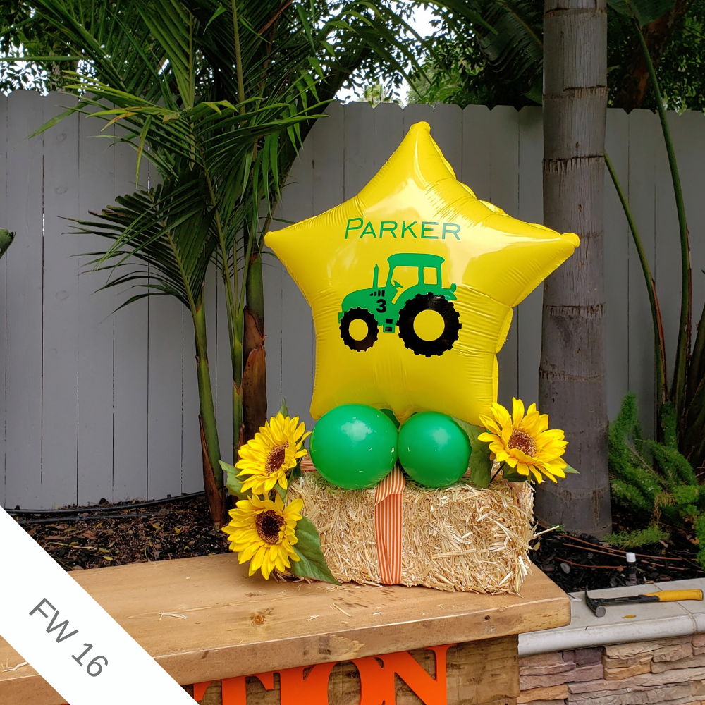 Farm and Western Balloon Decor — Lighter Than Air Balloons