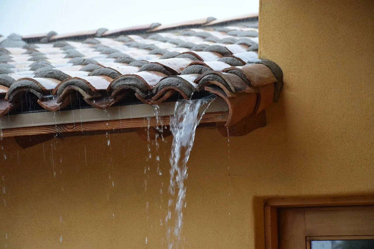 Water-Use It Wisely
