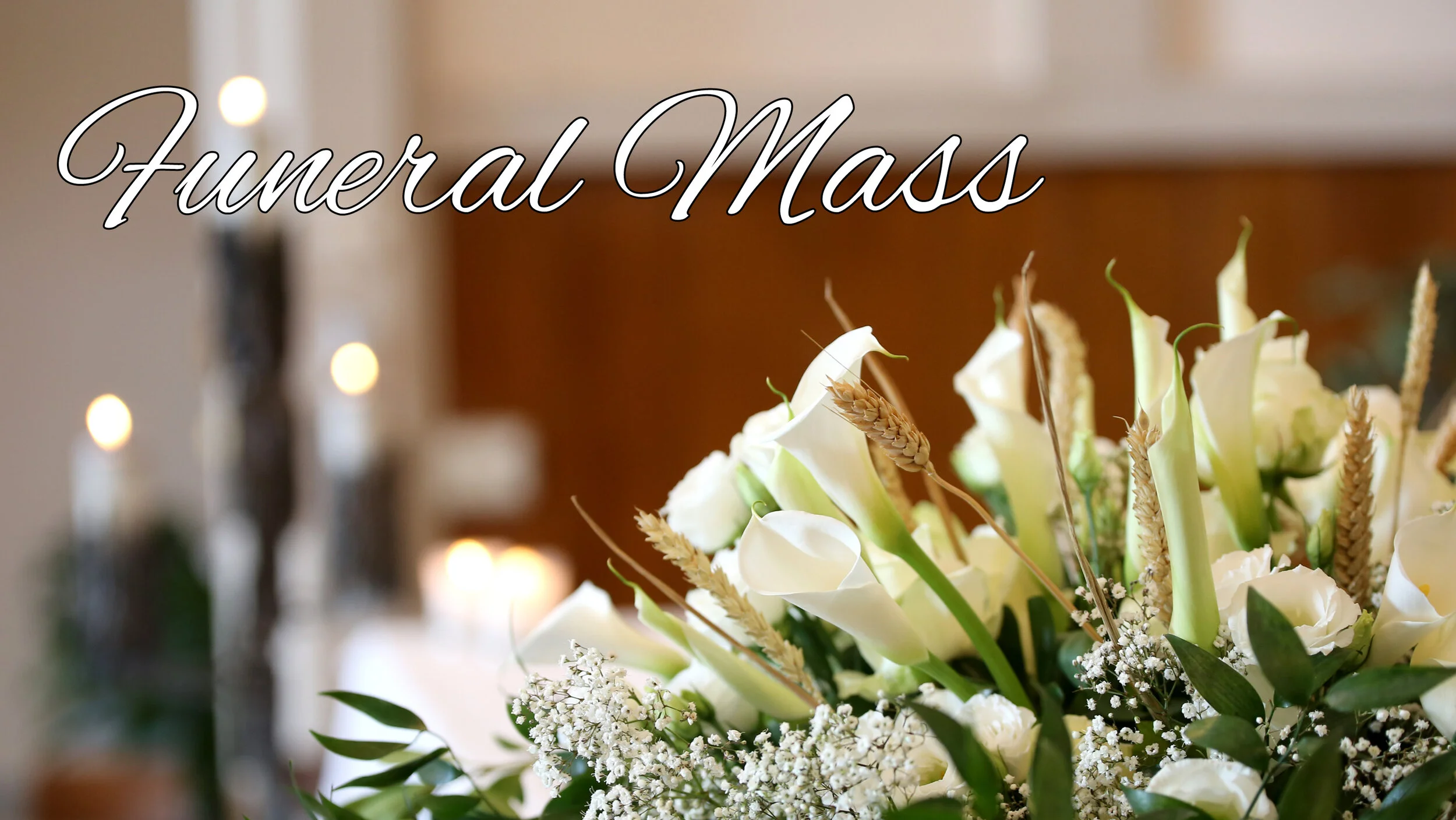 Events/Calendar — St. Paul of Tarsus Catholic Parish