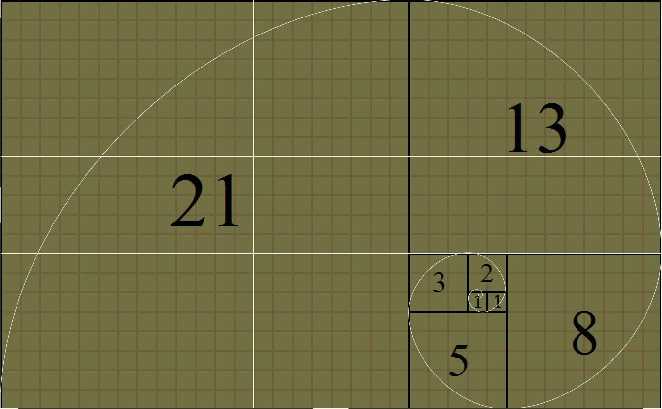 Level Up Your Composition — Wild Ivy Photography