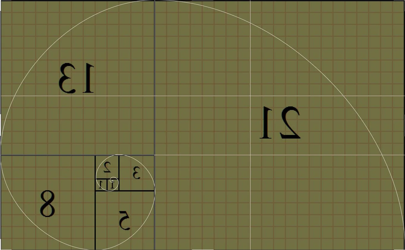 Level Up Your Composition — Wild Ivy Photography