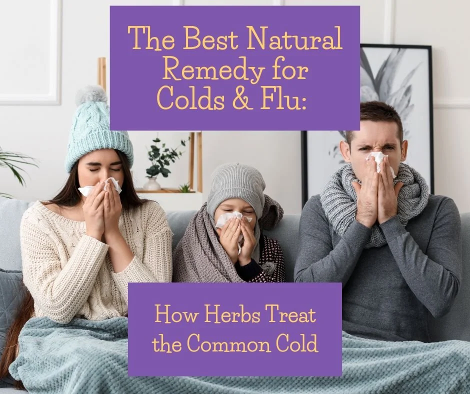 The Best Natural Remedy for Colds and Flu: How Herbs Treat the Common ...