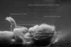 Water Immersion Photography After Infant Loss: How This Gentle Practice ...