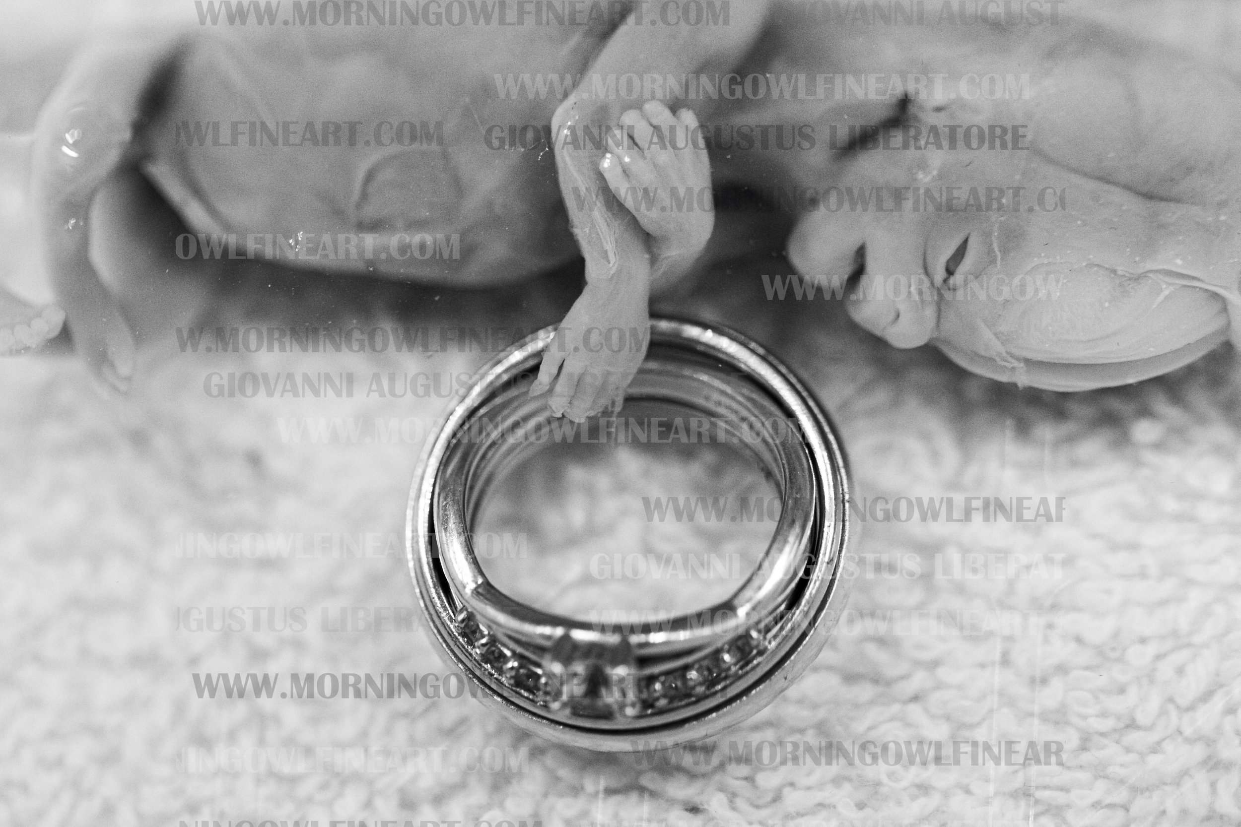Water Immersion Photography After Infant Loss: How This Gentle Practice ...