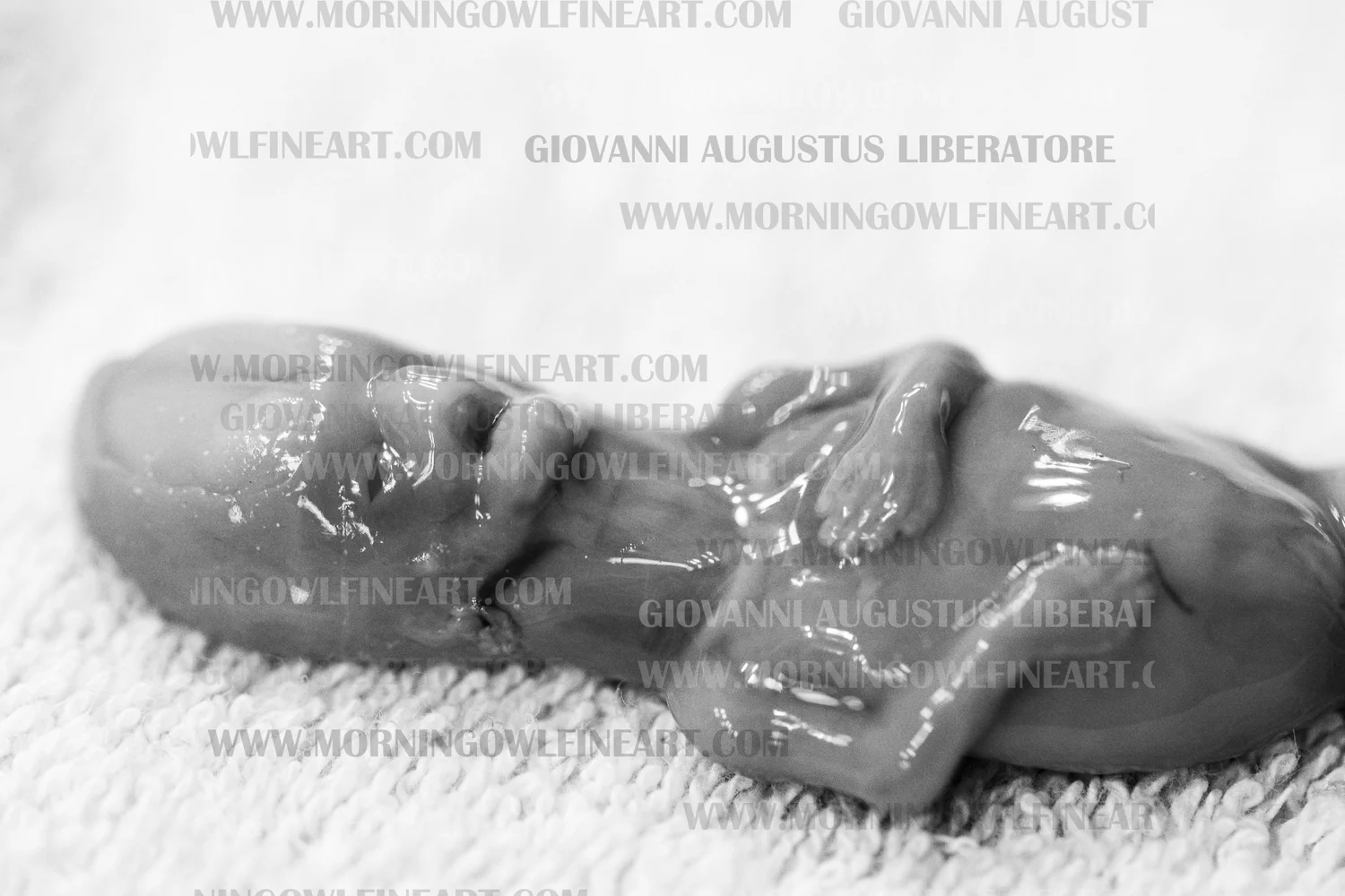 Water Immersion Photography After Infant Loss: How This Gentle Practice ...