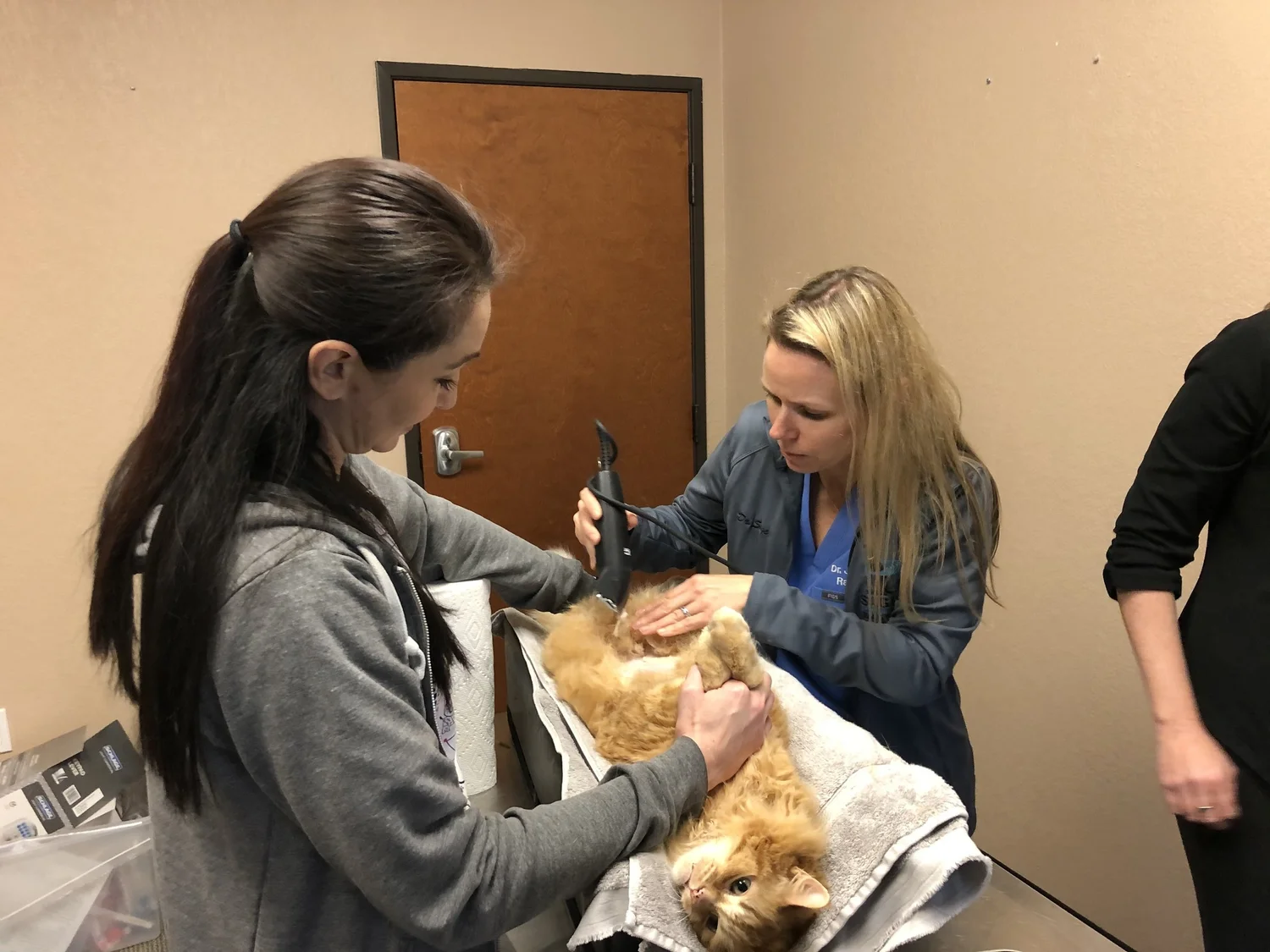 Razor Burn in Dogs: Everything You Need to Know — Sage Veterinary ...