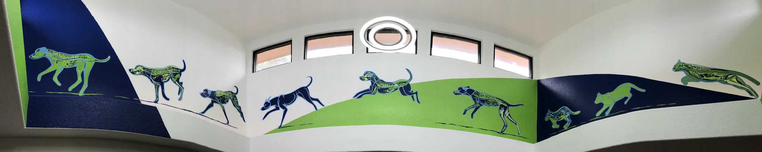 Services Overview — Sage Veterinary Imaging