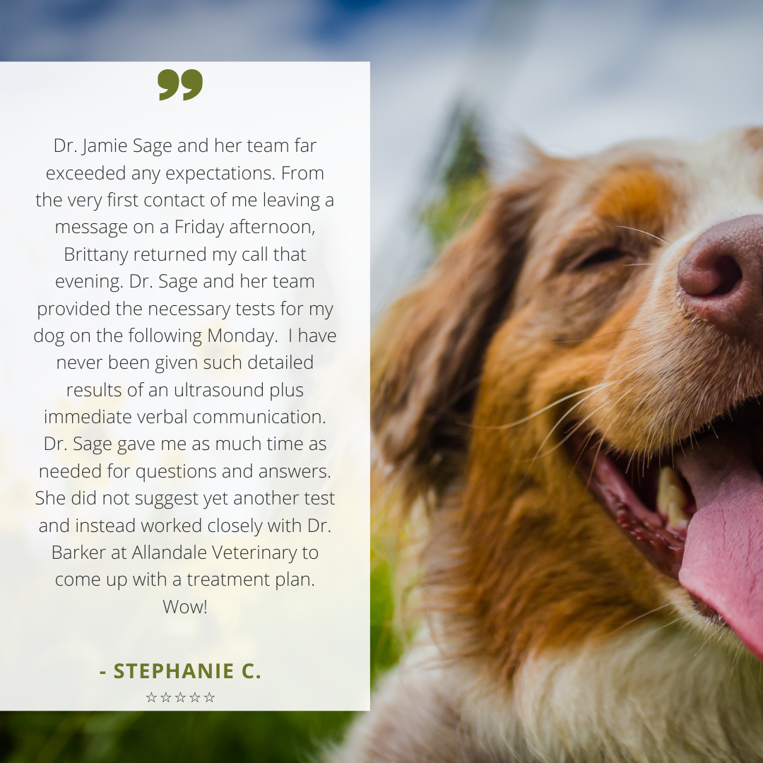 Sage Veterinary Imaging