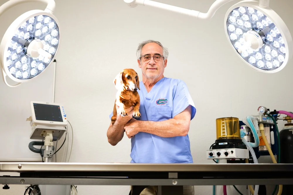 Q&A With a Vet: Neurosurgery — Sage Veterinary Imaging