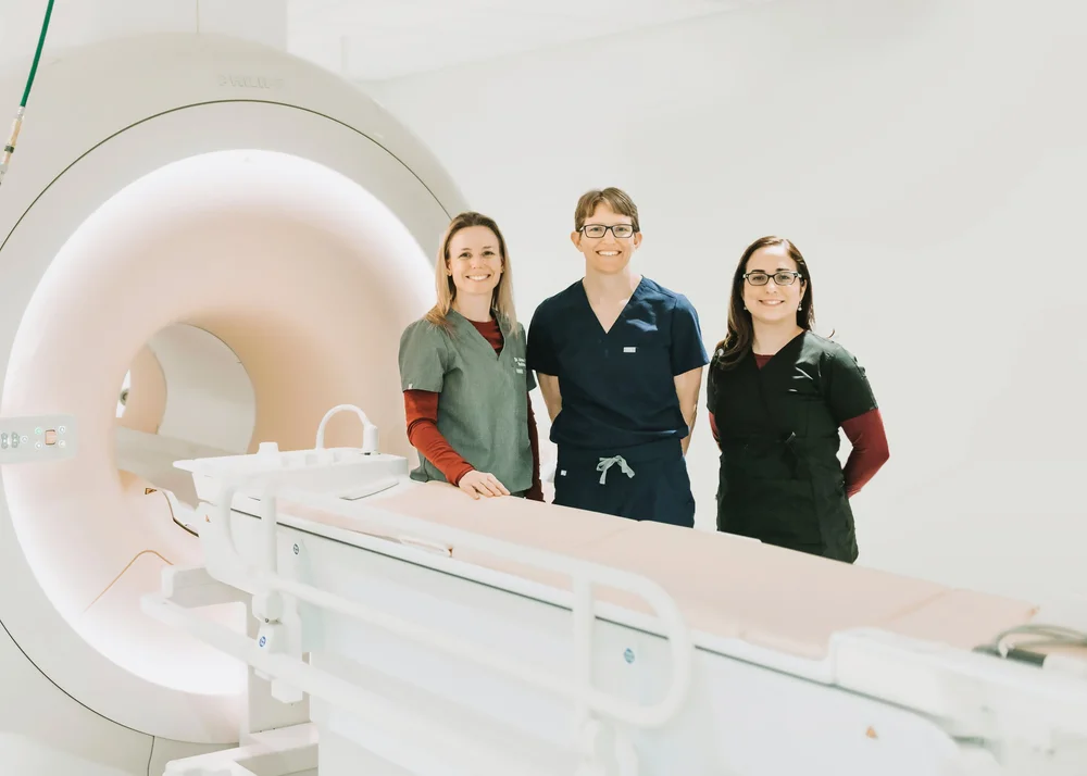 Services Overview — Sage Veterinary Imaging