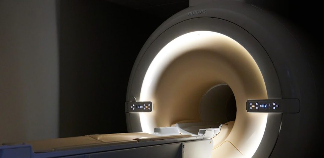 Where To Find an MRI for Dogs in Central Texas — Sage Veterinary ...