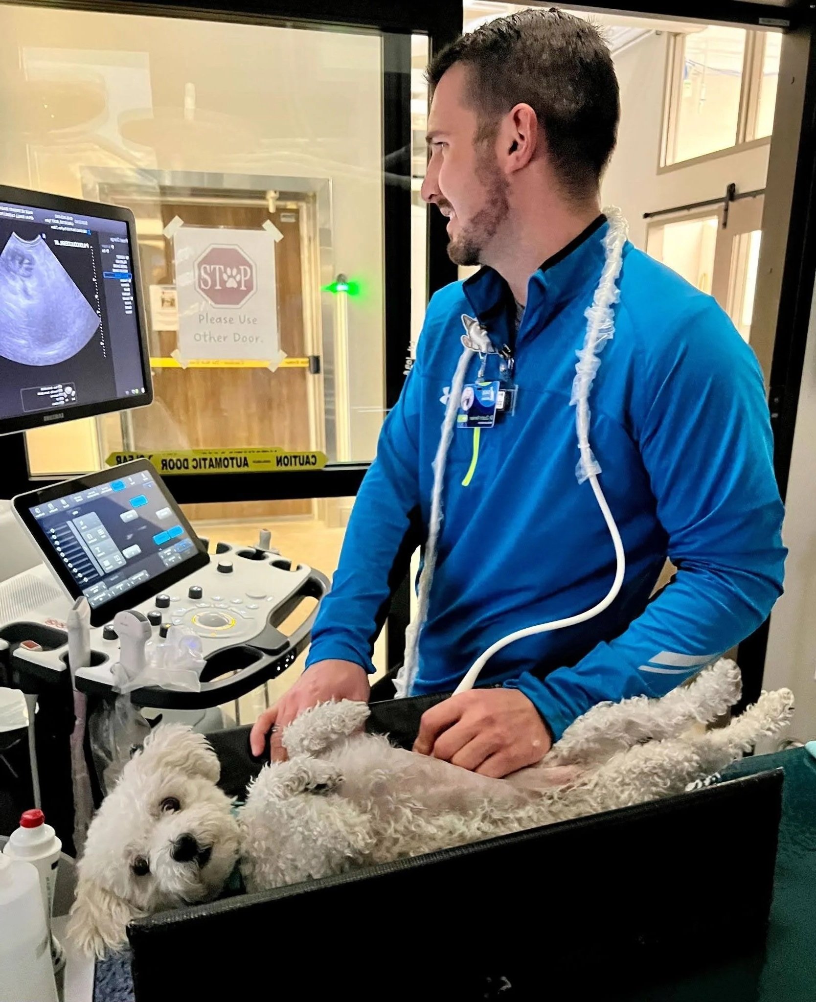 Veterinarian Jobs in Texas | DVM & Relief Opportunities — Sage ...