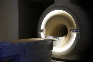 MRI for Dogs in Central Texas: The Pet Owner's Guide — Sage Veterinary ...