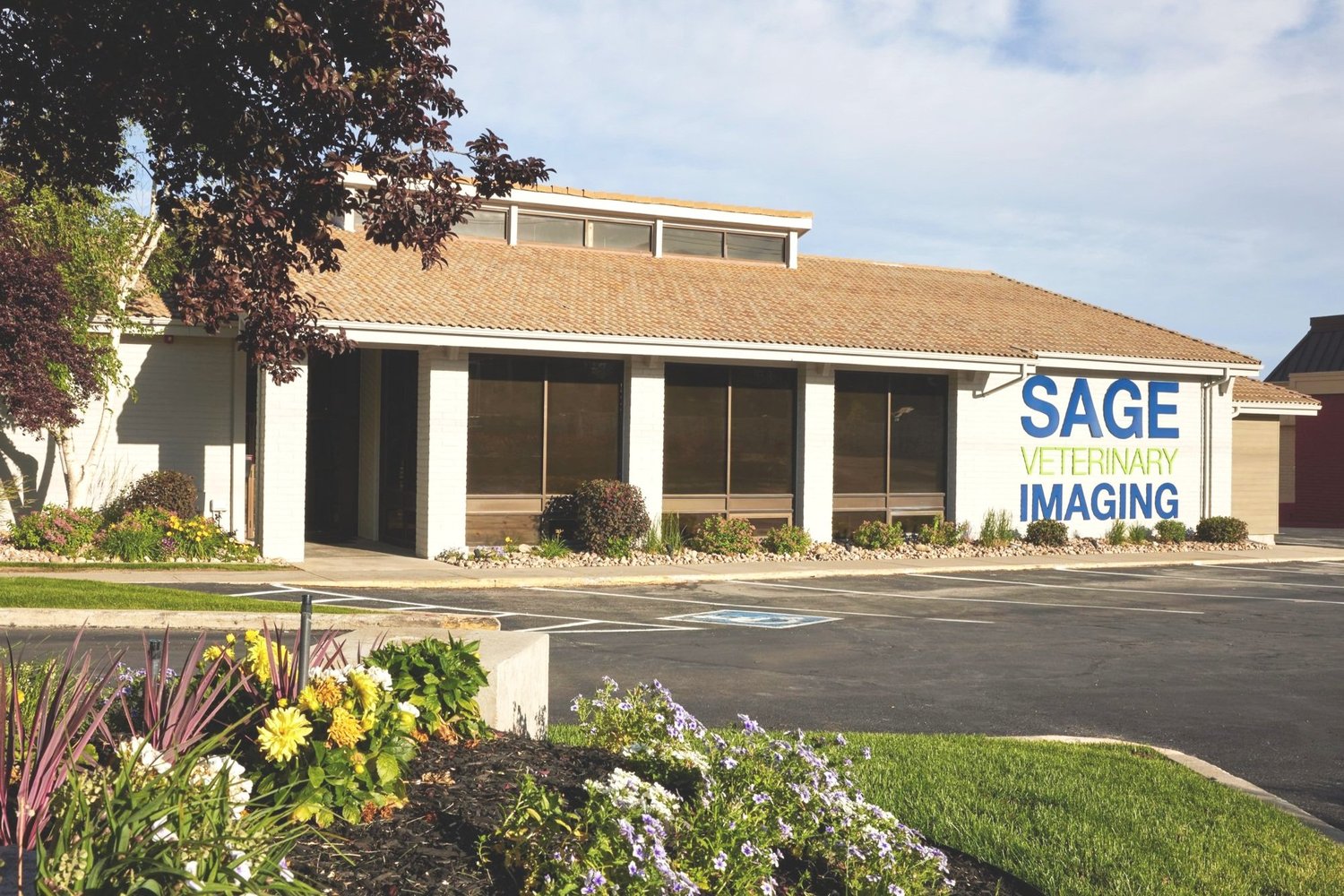 CCL Surgery in Dogs — Sage Veterinary Imaging