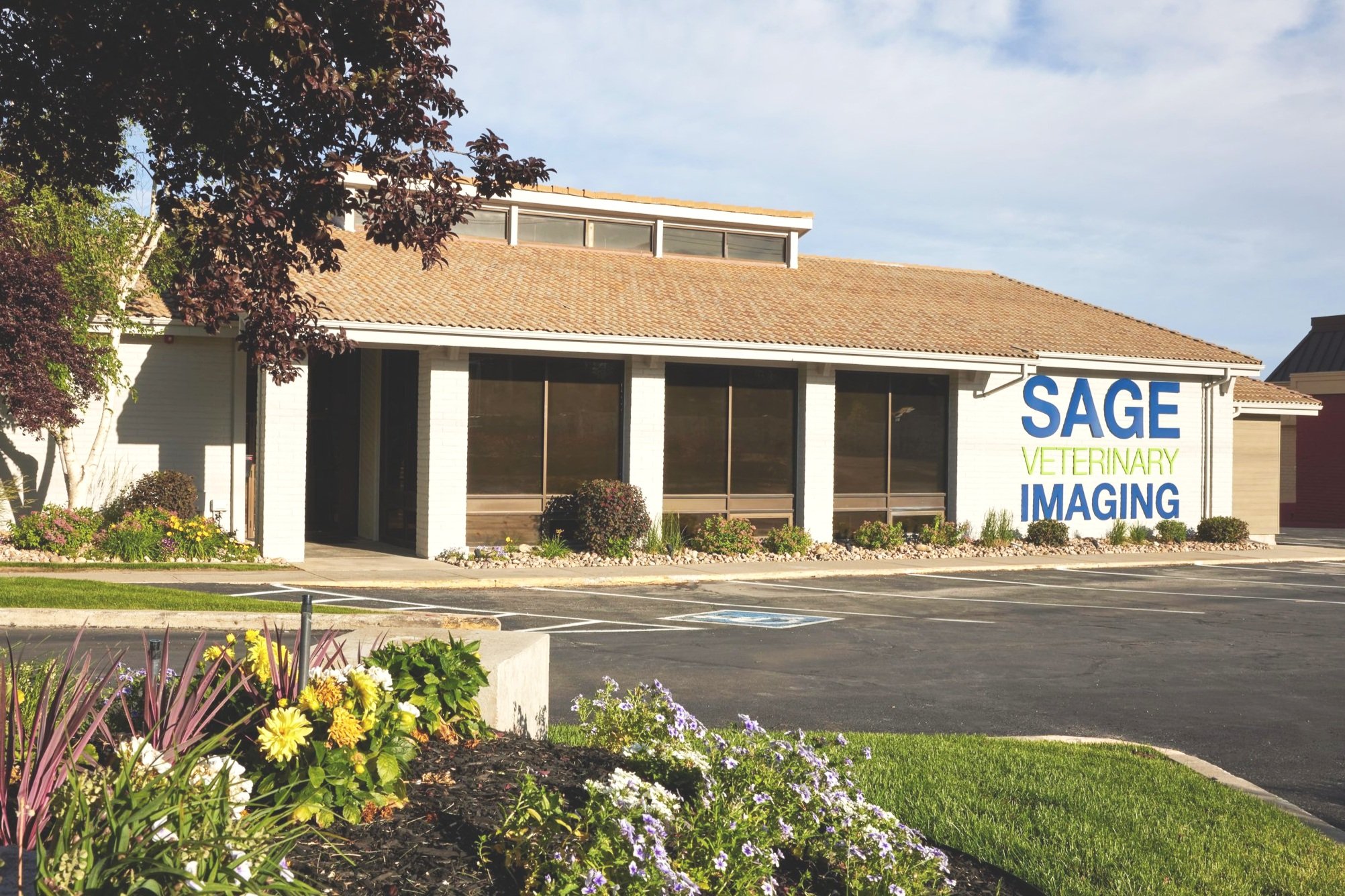 CCL Surgery in Dogs — Sage Veterinary Imaging | Human-quality imaging ...