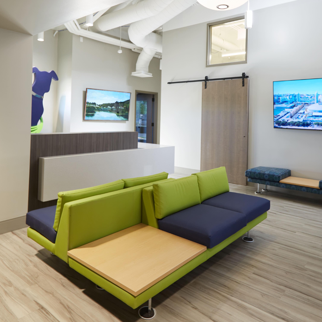 For Dog Owners In Utah: MRI for Dogs is Now Only One Call Away — Sage ...